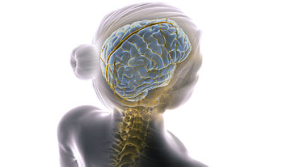 Neurovascular | Stryker